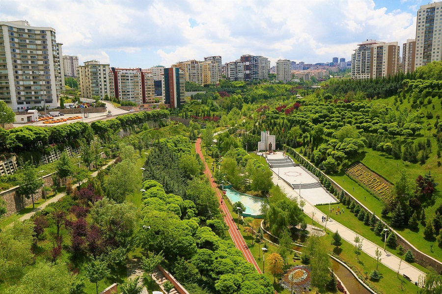 Tekneco - “Città Verdi”, al via il piano FAO per migliorare la ...